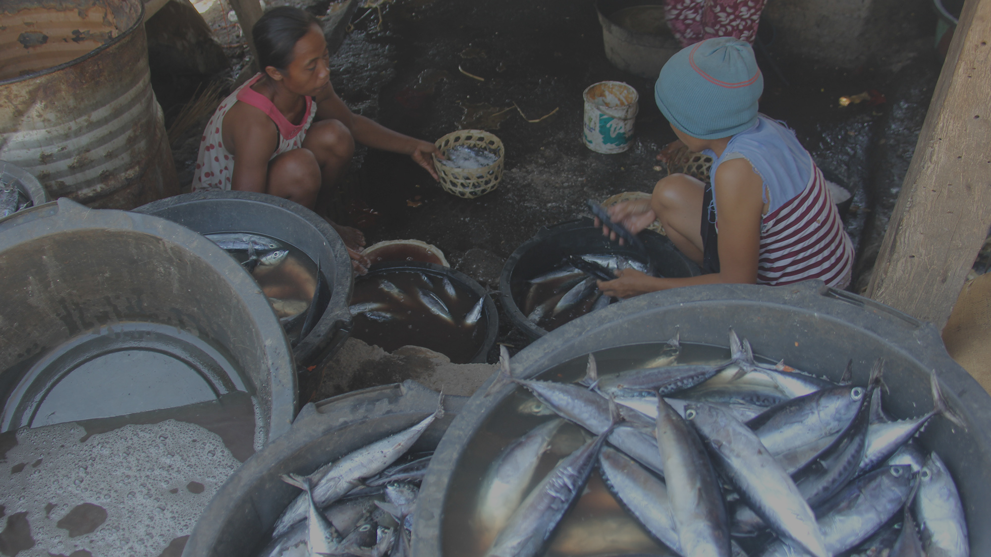 Potensi Desa Seraya Timur Desa Seraya Timur